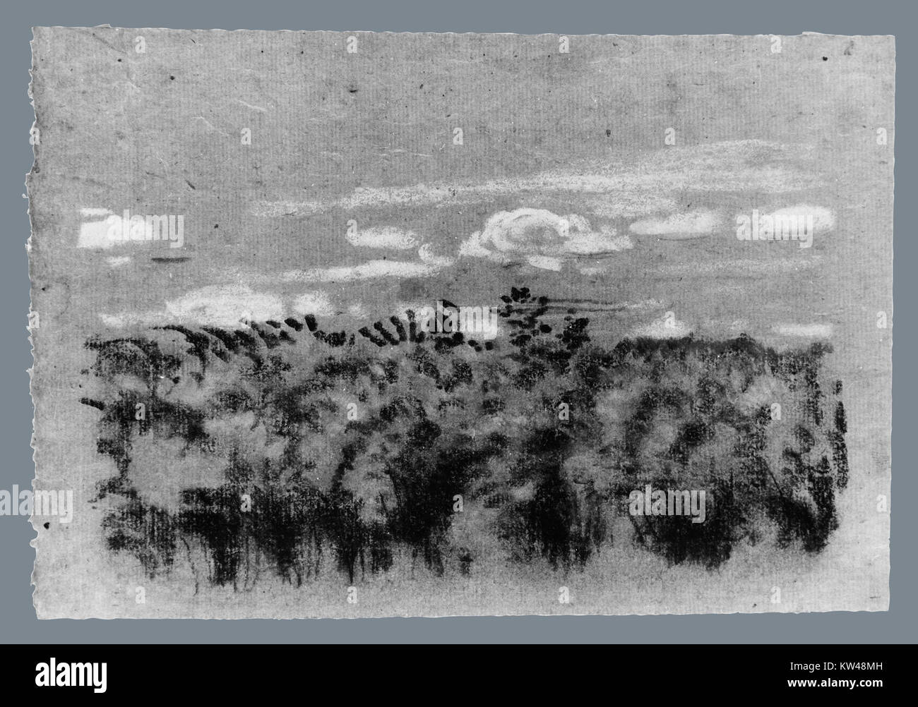 Blue Thicket, cataloged under MET ap58.21.70, is a specific artwork ...