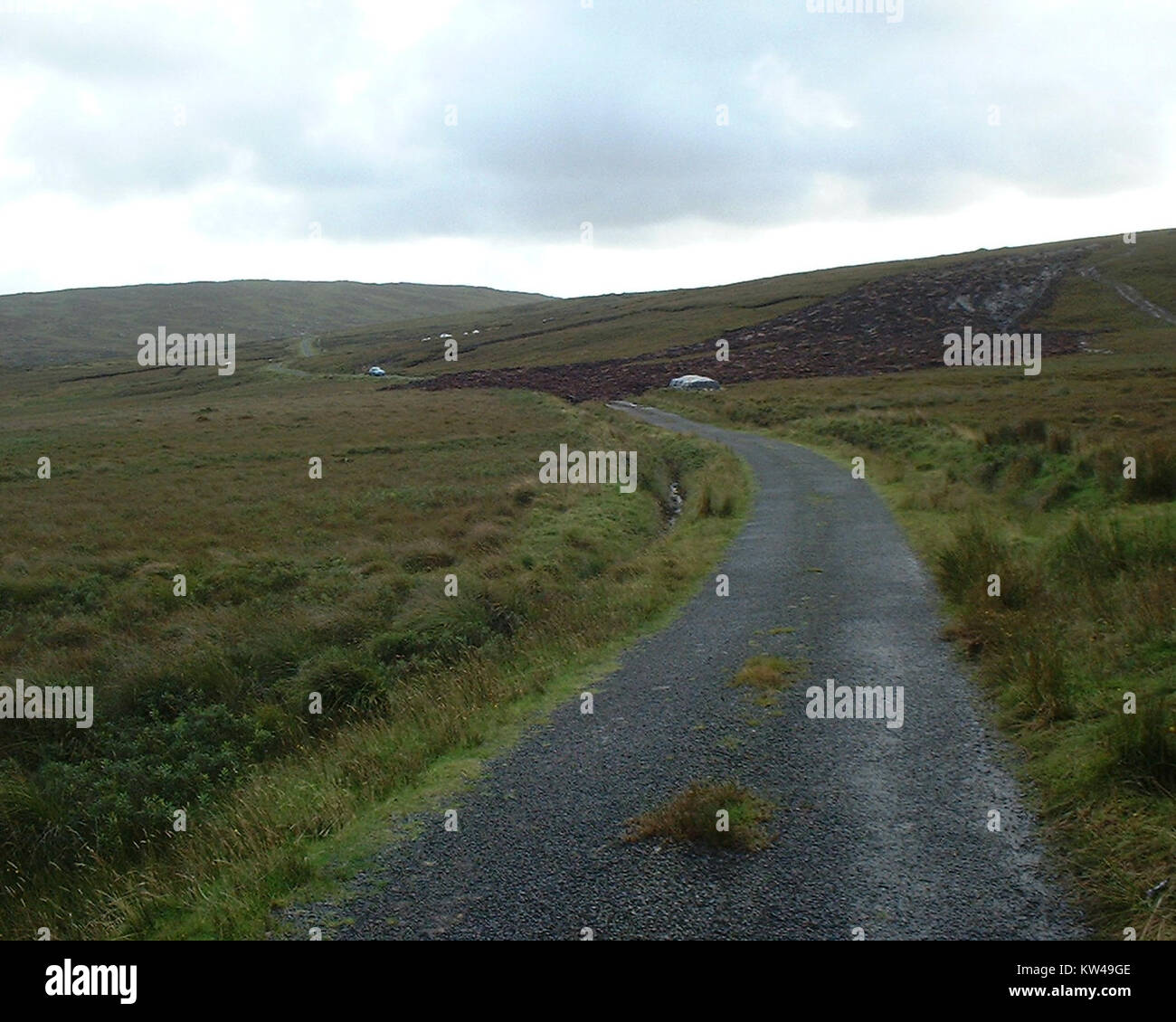 The Bog Slide refers to a natural phenomenon where a section of wetland ...