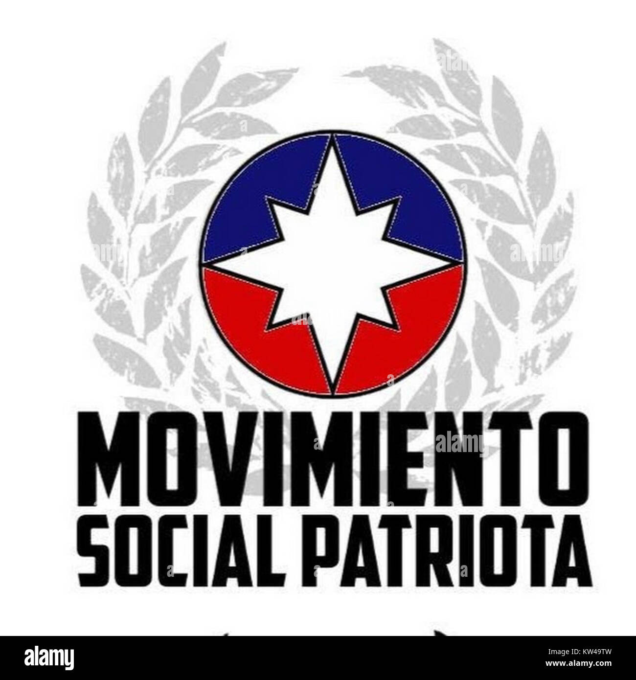 An image depicting a social patriot movement, illustrating the group's ...