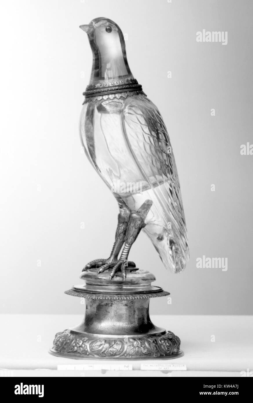 Collection anatomy from nature Black and White Stock Photos & Images ...