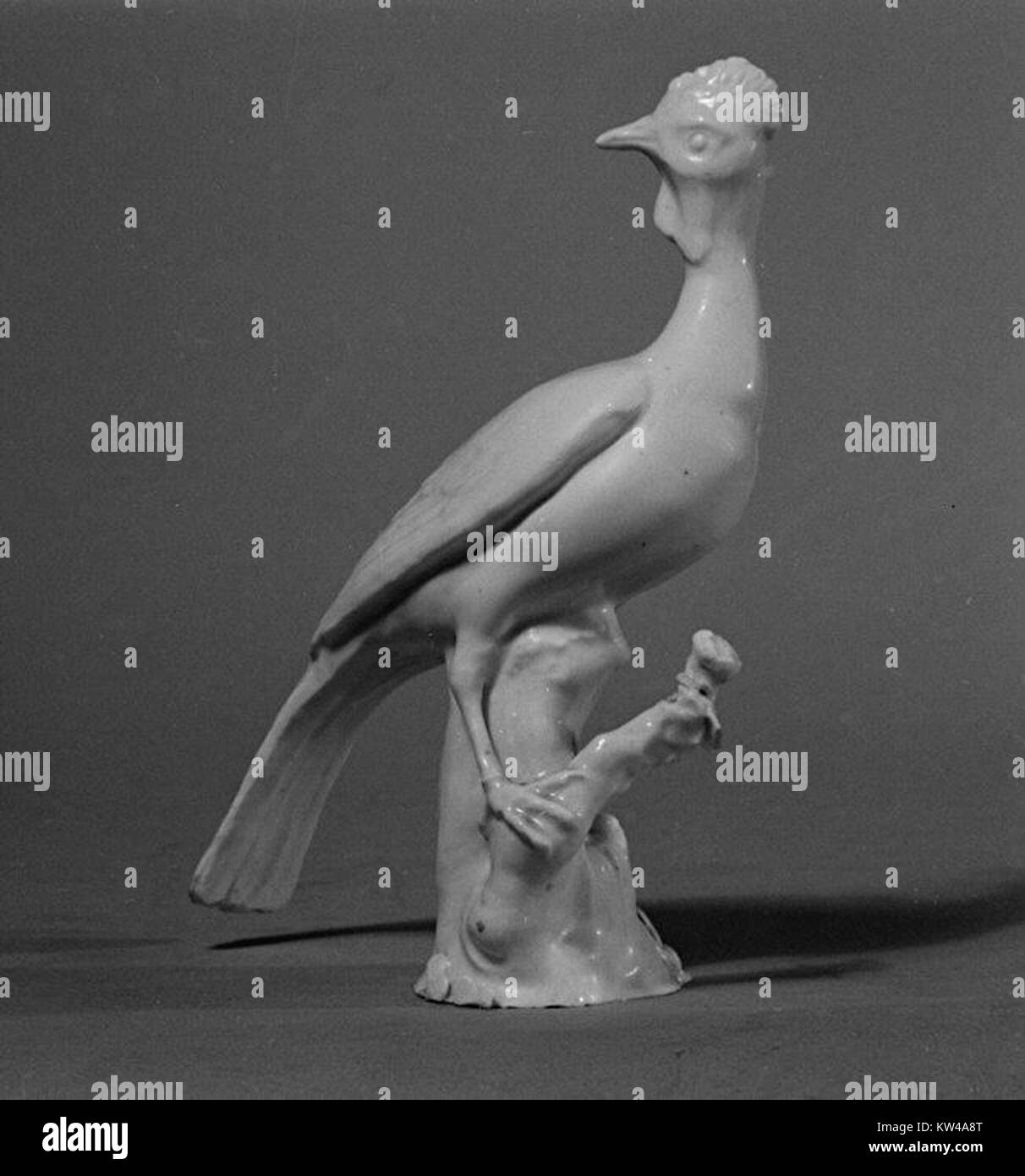 Diverse avian forms Black and White Stock Photos & Images - Alamy