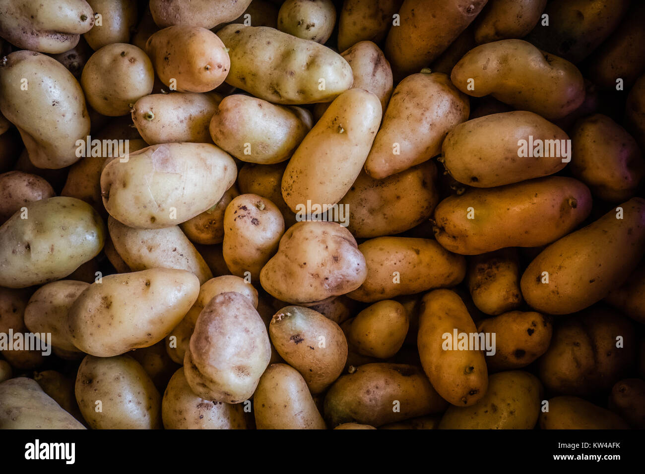 small organic potatoes Stock Photo - Alamy