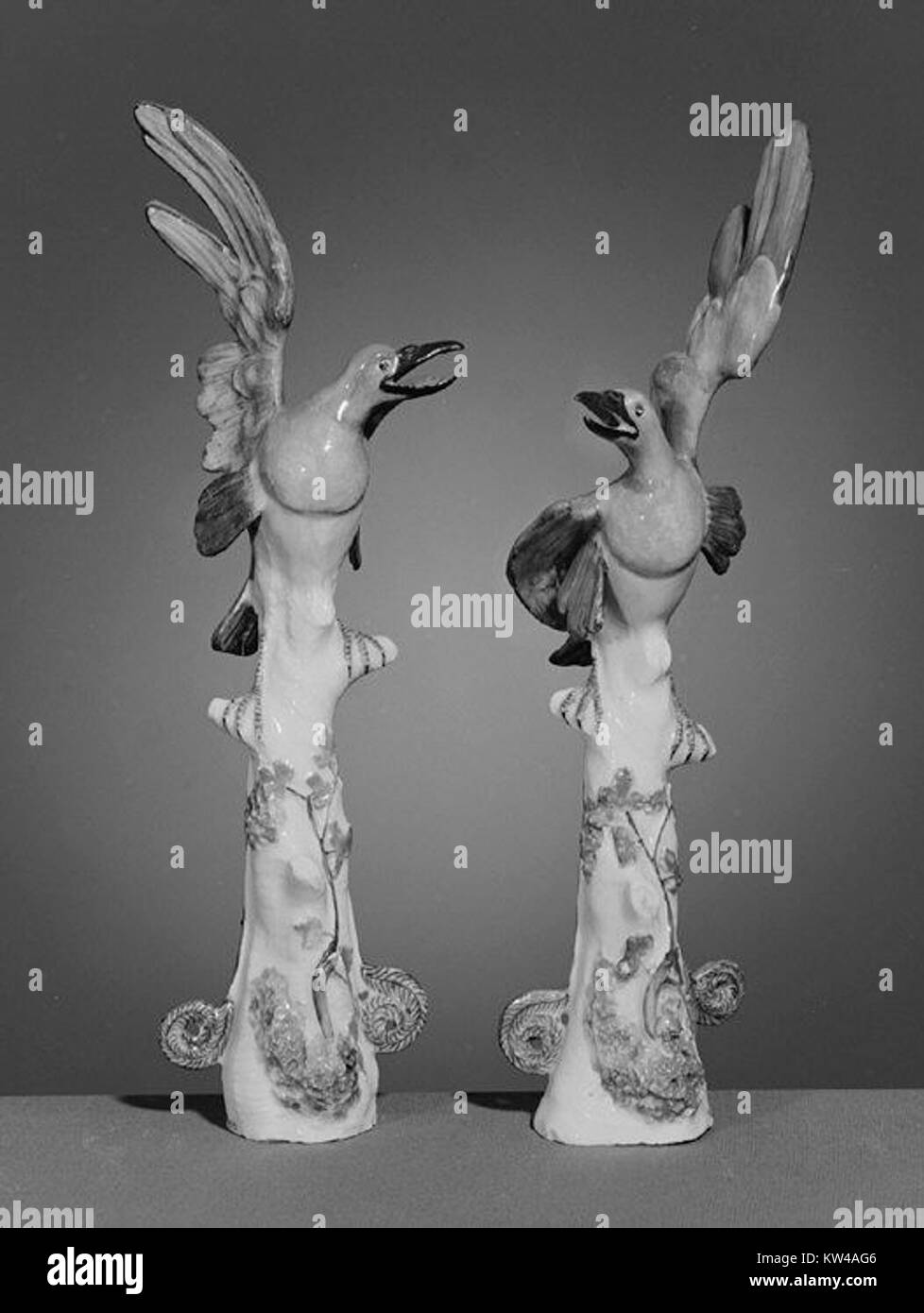 Bird species collection Black and White Stock Photos & Images - Alamy