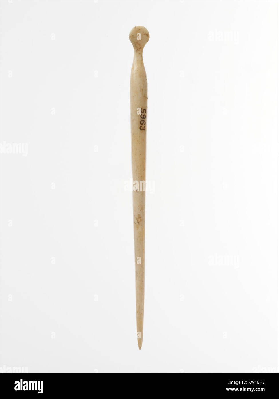 Ligula hi-res stock photography and images - Alamy