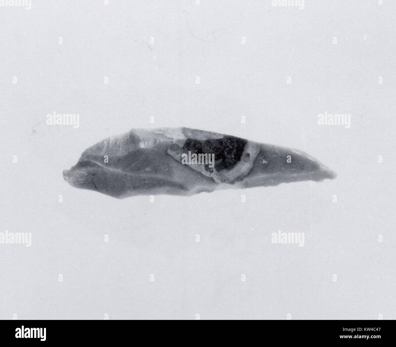 The image depicts a blade, part of the MET collection, showcasing its ...