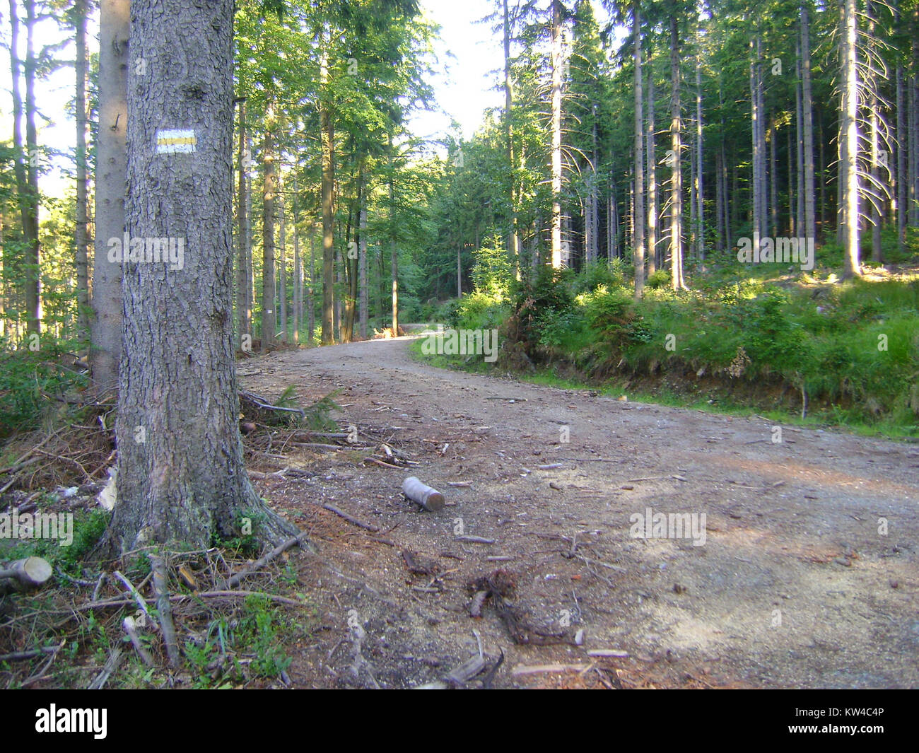 Bialski Dukt. mit Stock Photo - Alamy