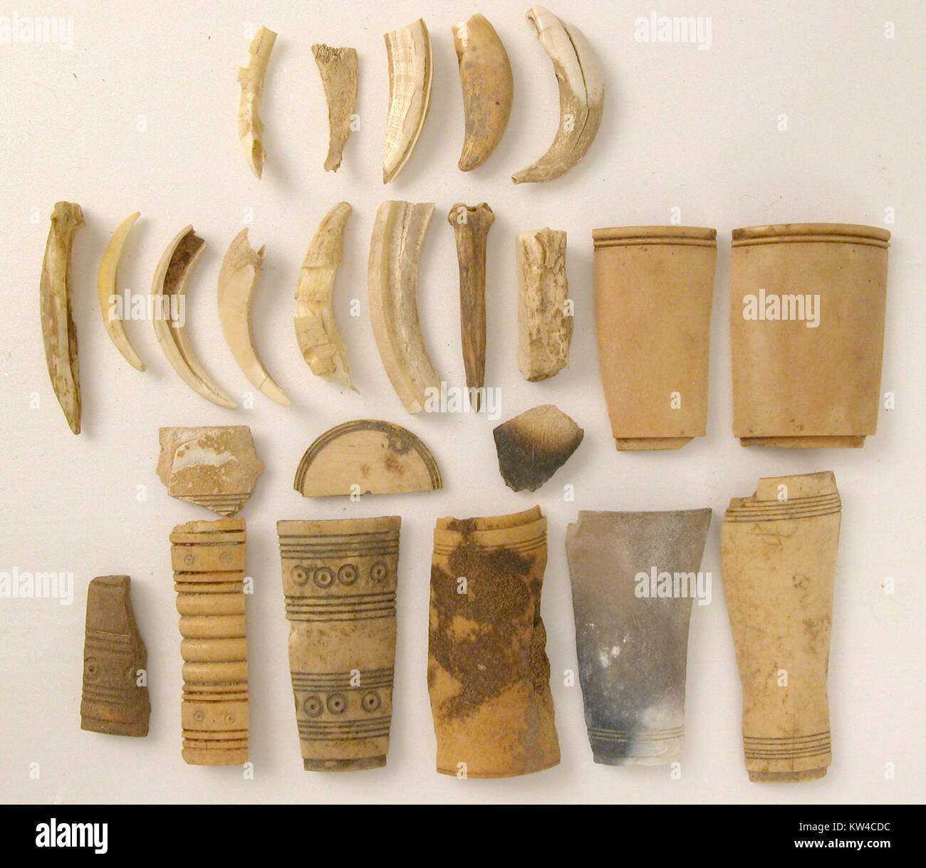 These bone fragments, housed in the Metropolitan Museum of Art, are ...