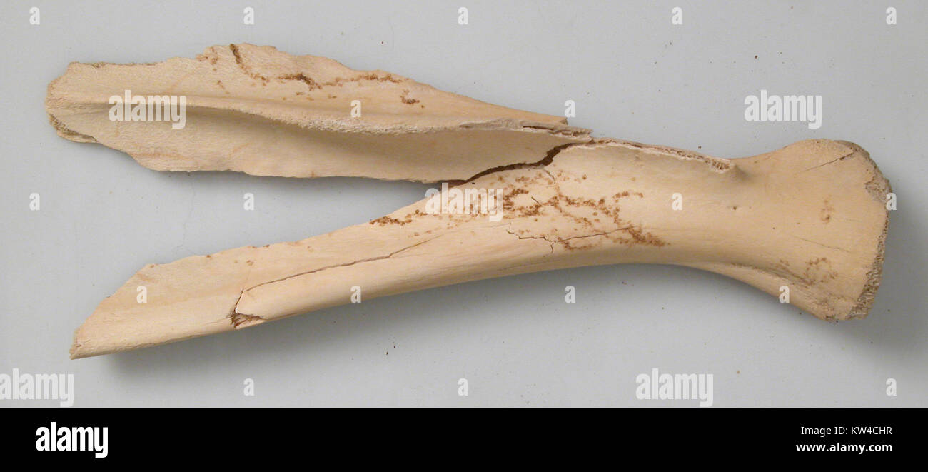 A bone fragment, part of the MET collection, offers a glimpse into the ...