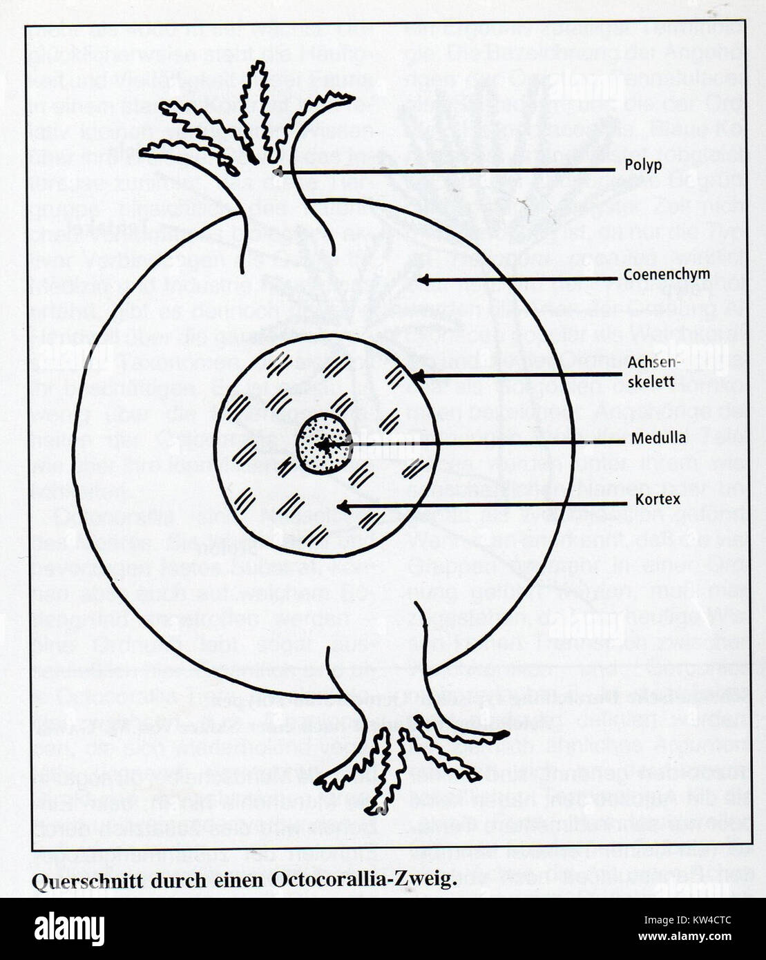 Eight fold hi-res stock photography and images - Alamy