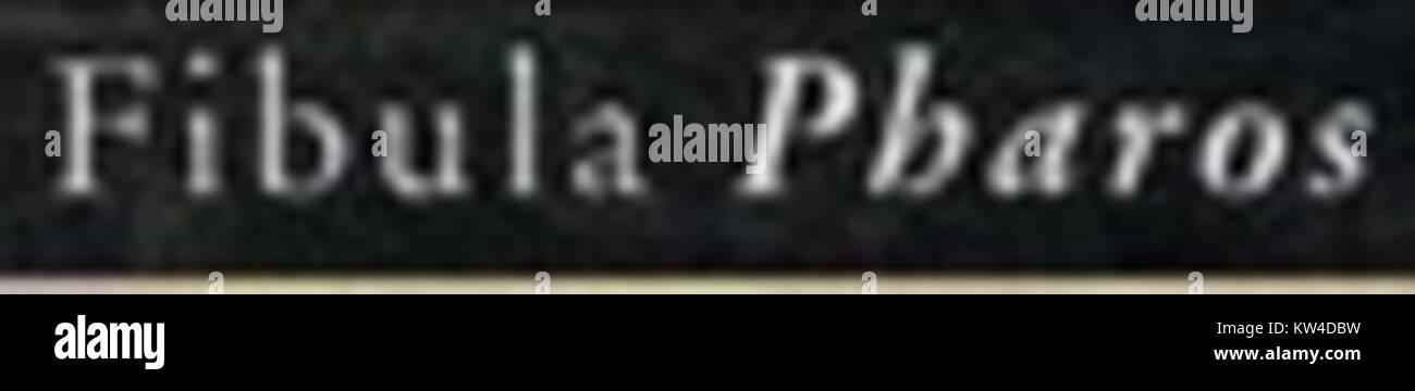 The logo of Fibula Pharos, likely a company or project, represents its visual brand identity ...