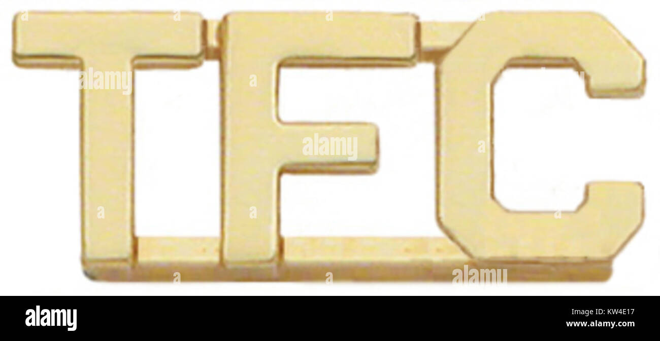 The insignia represents the rank of Trooper First Class, typically used ...