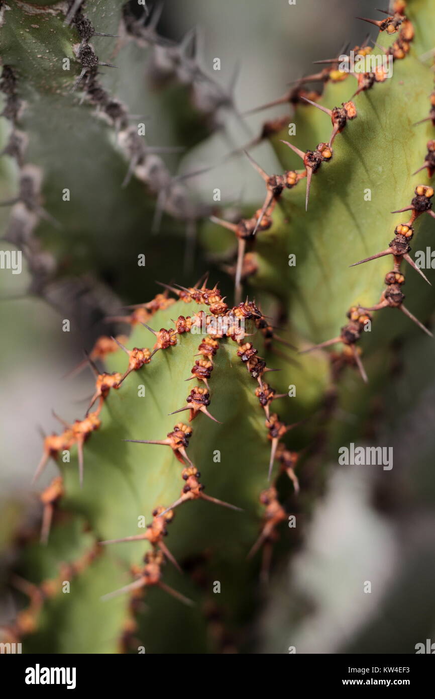 Marginal ecosystem hi-res stock photography and images - Alamy