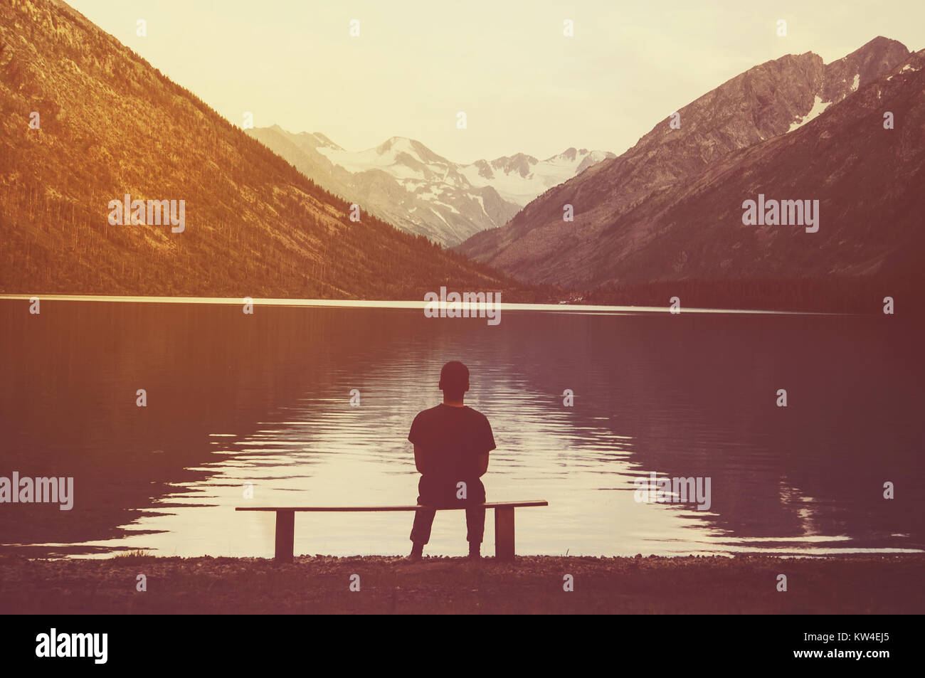 man sitting alone on park bench under tree. backpacker resting on the ...