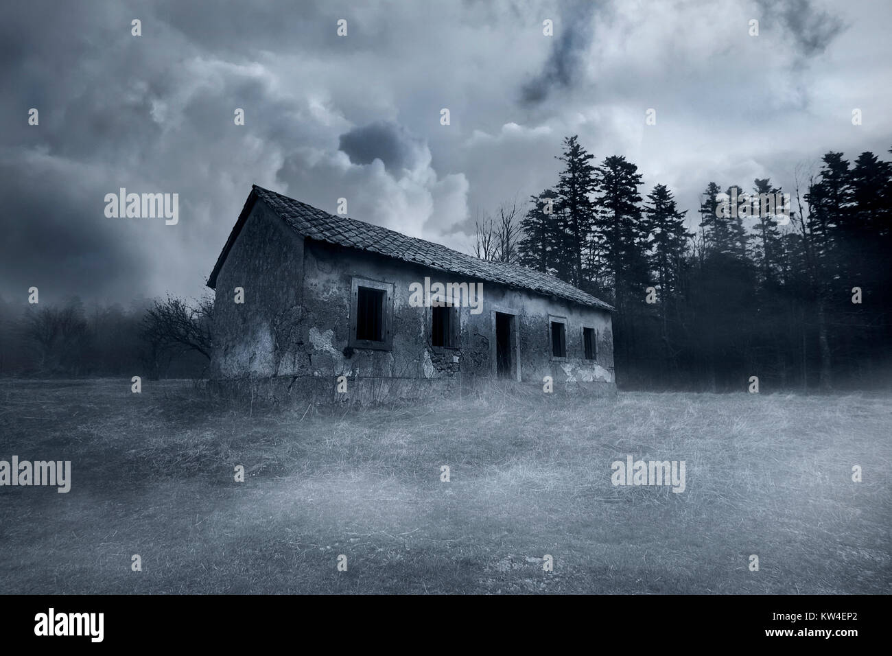 Abandoned Horror House in the Misty Forest Stock Photo - Alamy