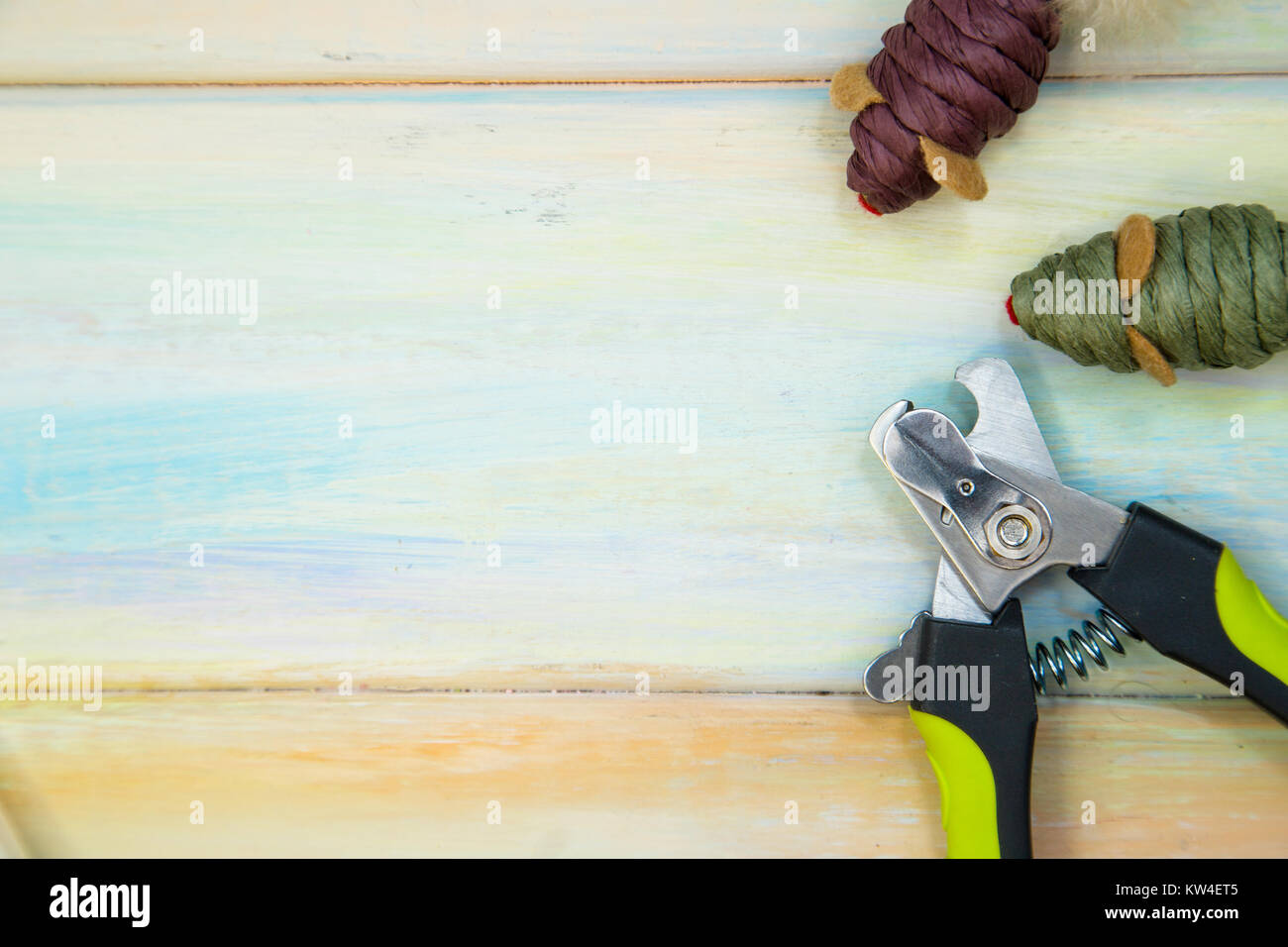 Pet toys and tools for grooming. A light colored wooden background with ...
