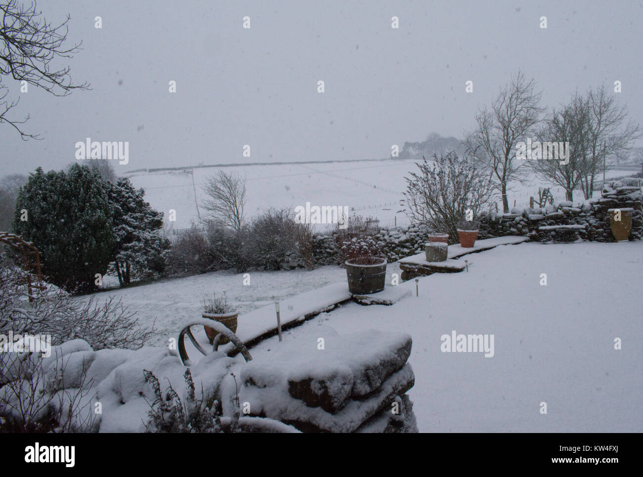 Winter garden scene with snow in Yorkshire Dales Stock Photo - Alamy
