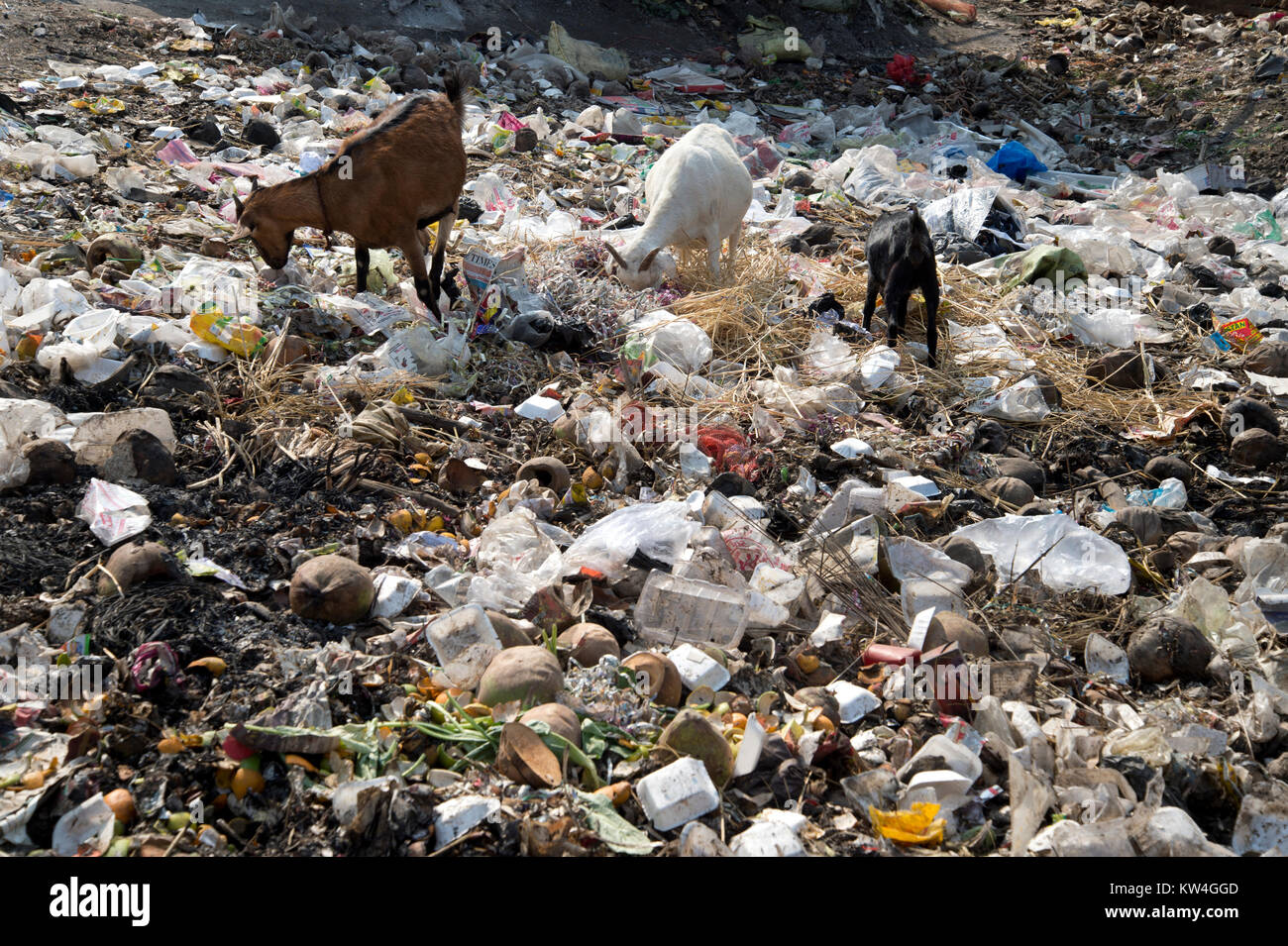 Rummage rubbish hi-res stock photography and images - Alamy