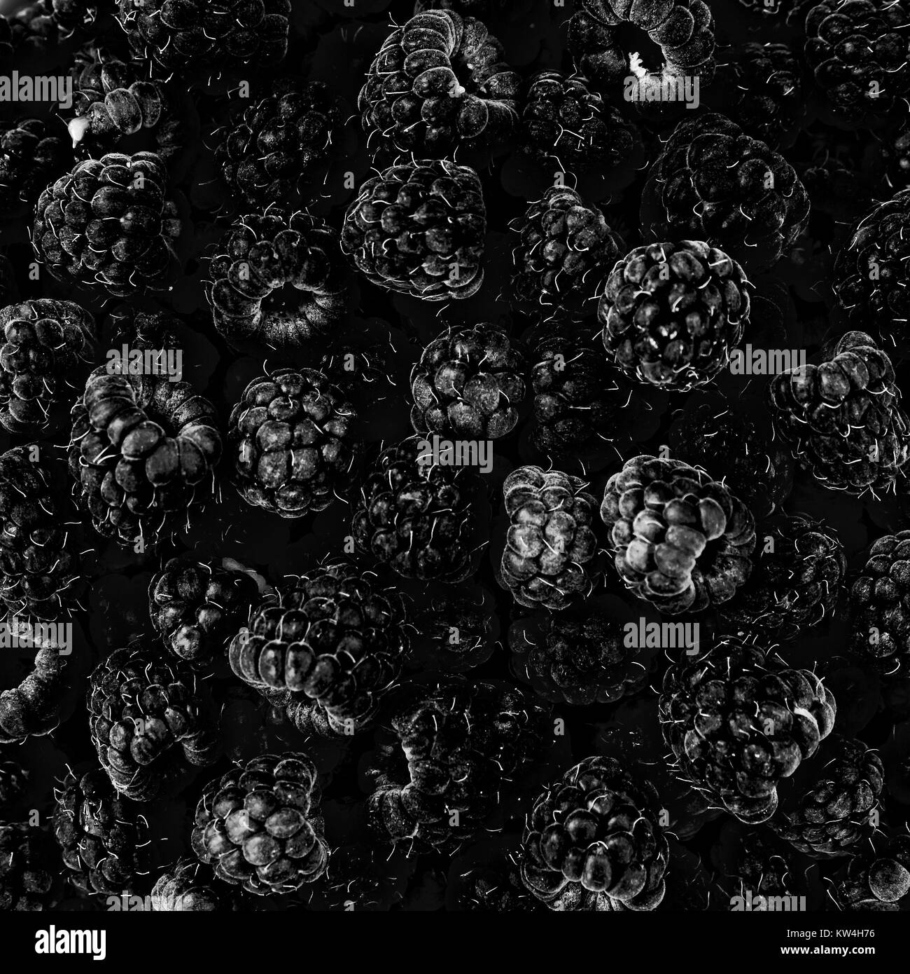 Black Raspberry fruit background Stock Photo - Alamy