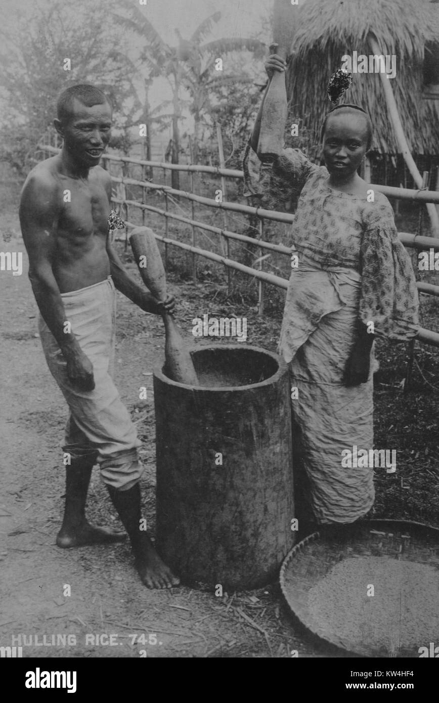 Hulling rice hi-res stock photography and images - Alamy