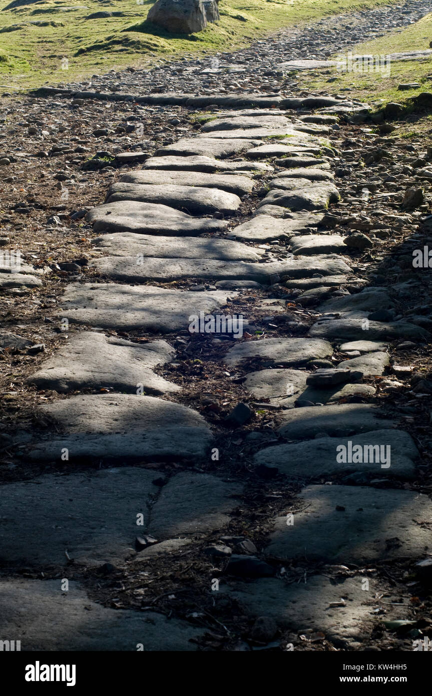 Cobbled pathway hi-res stock photography and images - Alamy