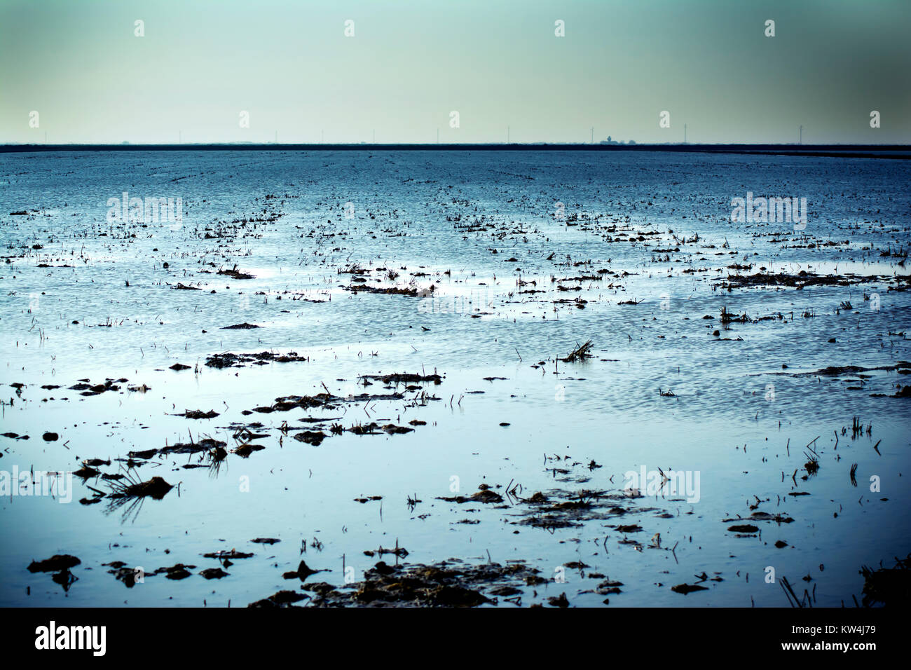 Landscape of marsh full of water at sunrise Stock Photo - Alamy