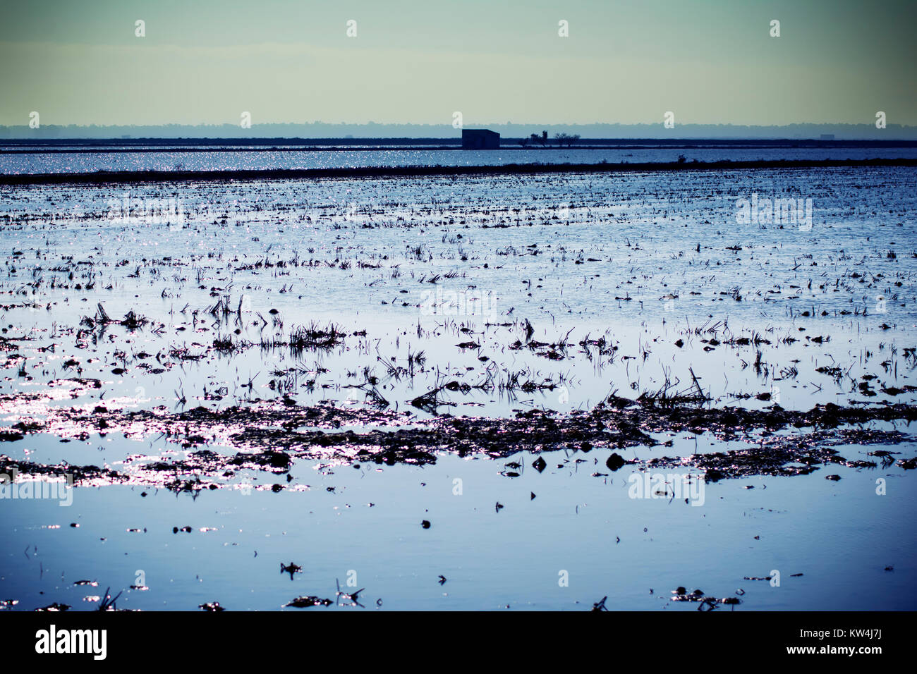 Landscape of marsh full of water at sunrise Stock Photo - Alamy