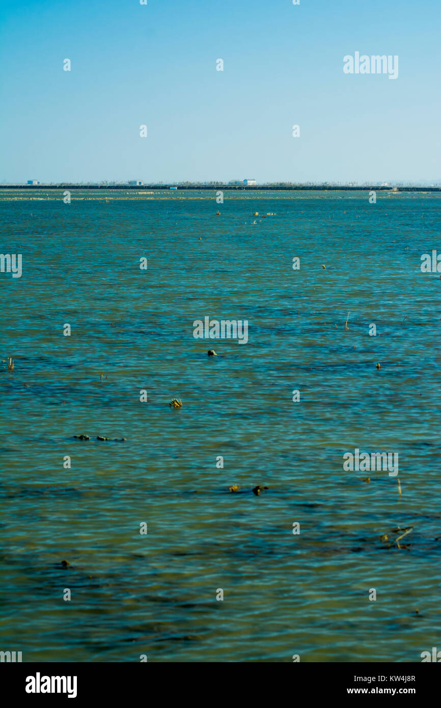 Landscape of marsh full of water at sunrise Stock Photo - Alamy