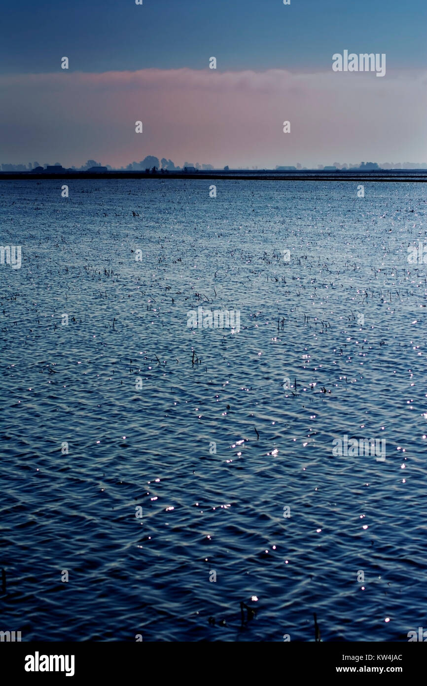 Landscape of marsh full of water at sunrise Stock Photo - Alamy