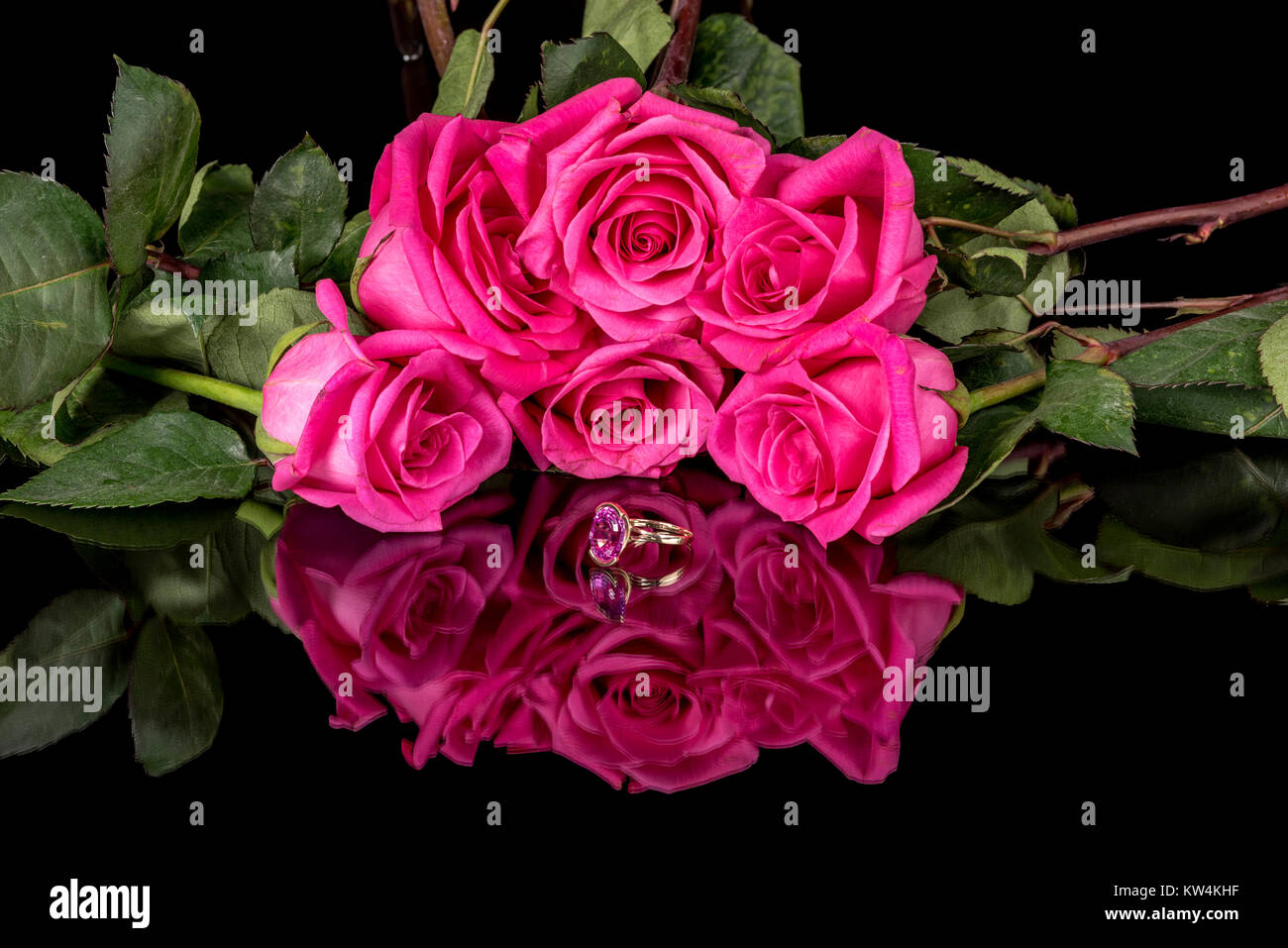 Red roses and green leaves hi-res stock photography and images - Alamy