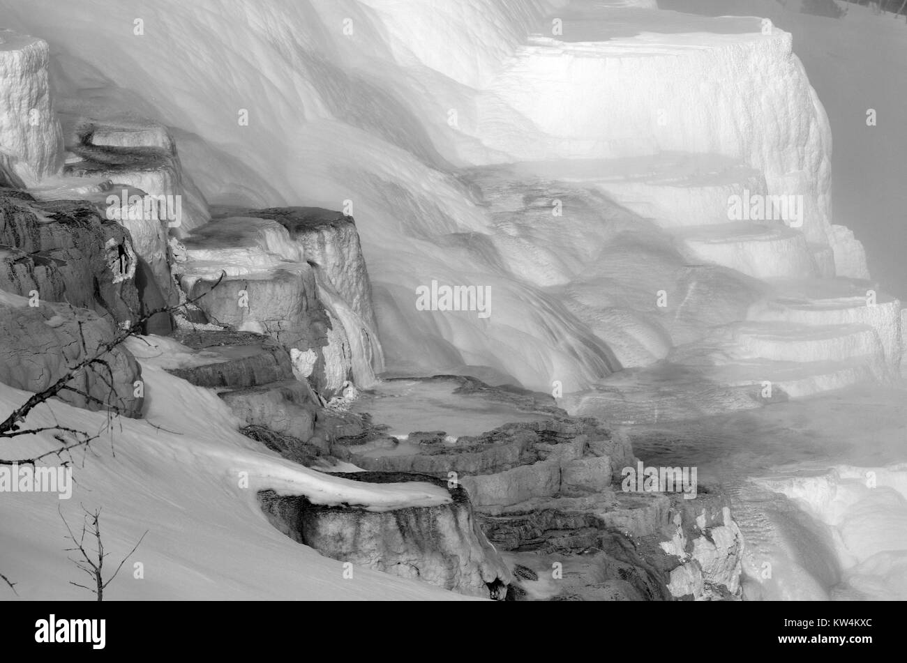 Western springs park Black and White Stock Photos & Images - Alamy