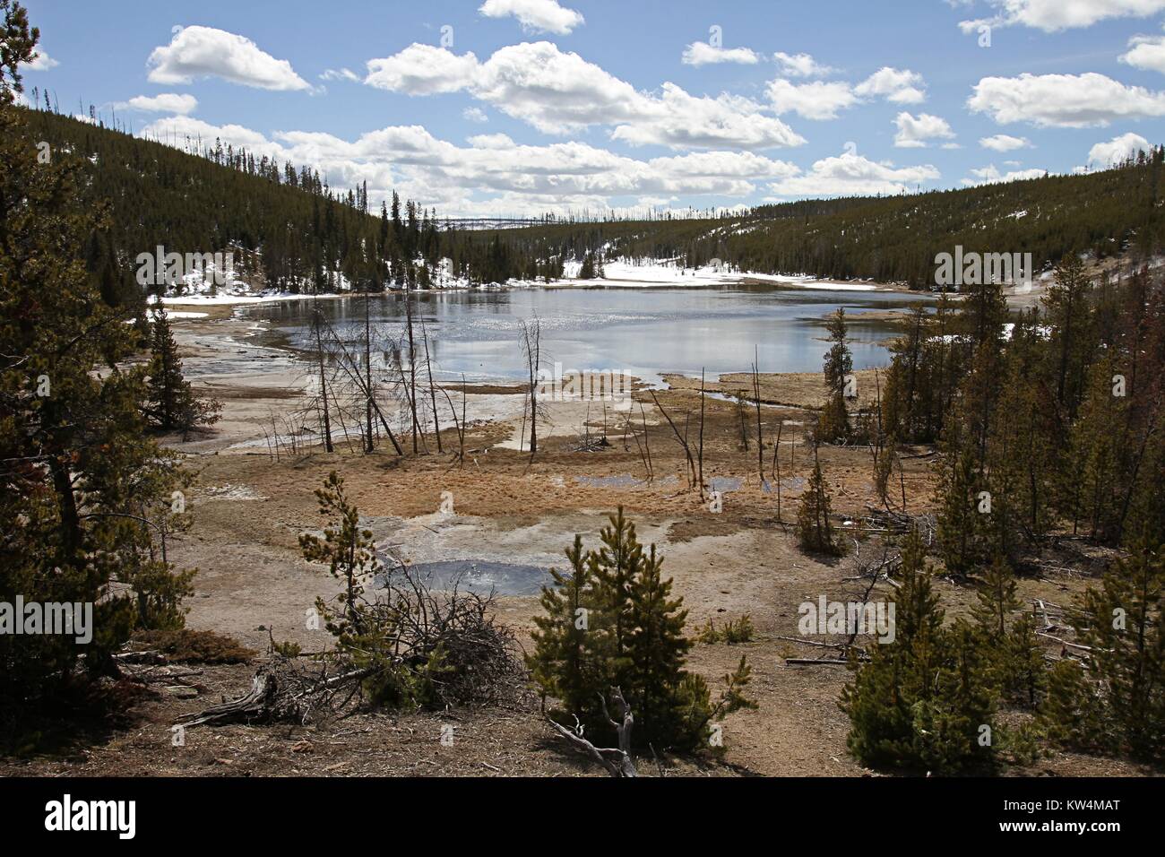 Nymph Lake during the spring, Yellowstone National Park, Wyoming, April ...