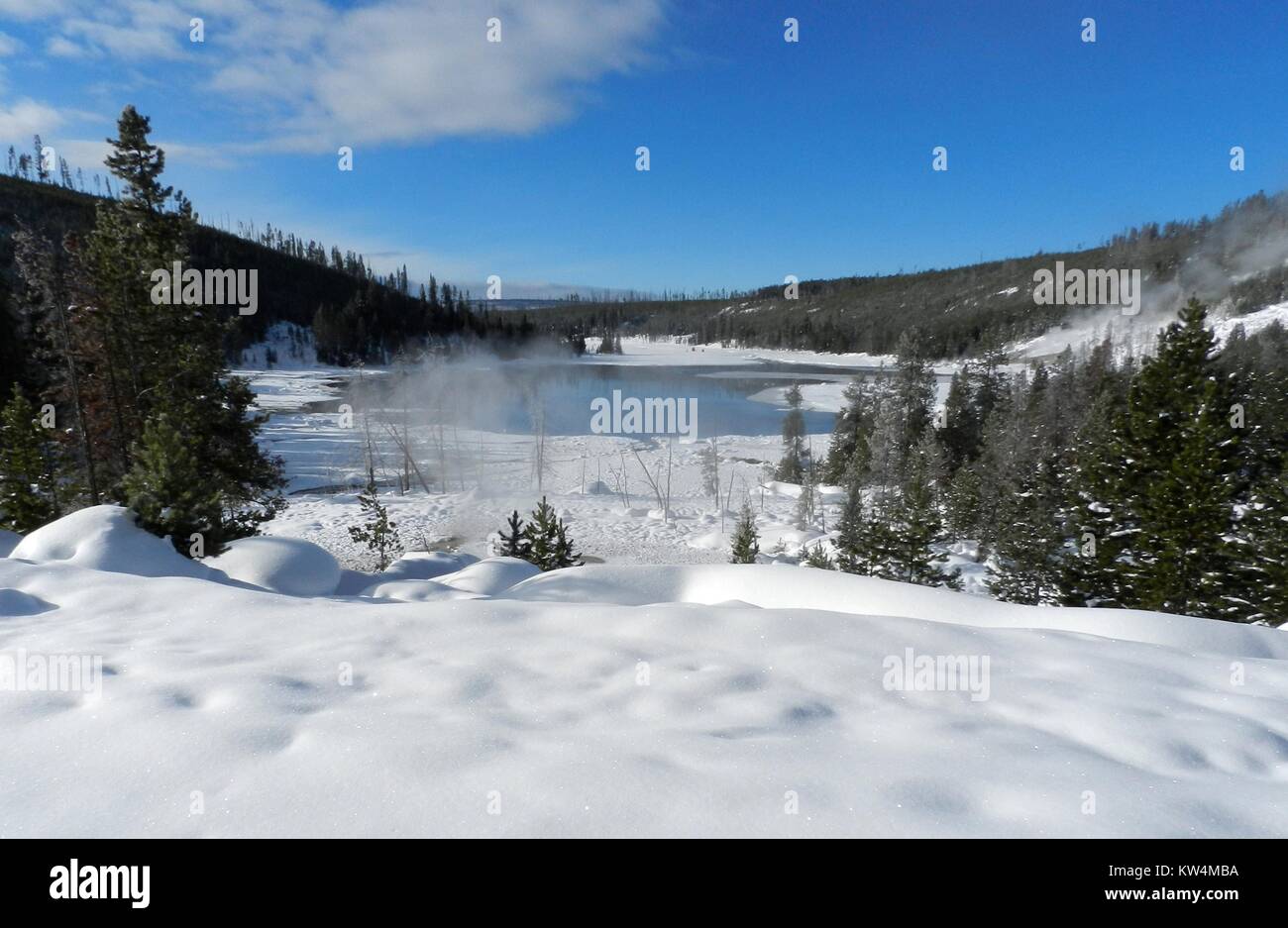 The snow-covered landscape surrounding Nymph Lake, Yellowstone National ...