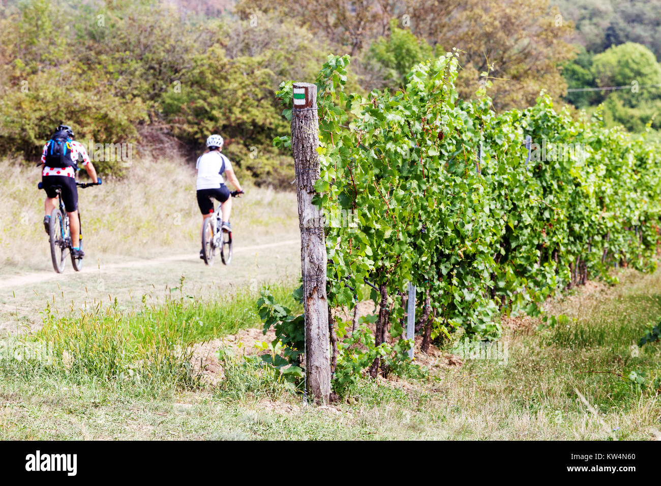 Moravian road hi-res stock photography and images - Alamy