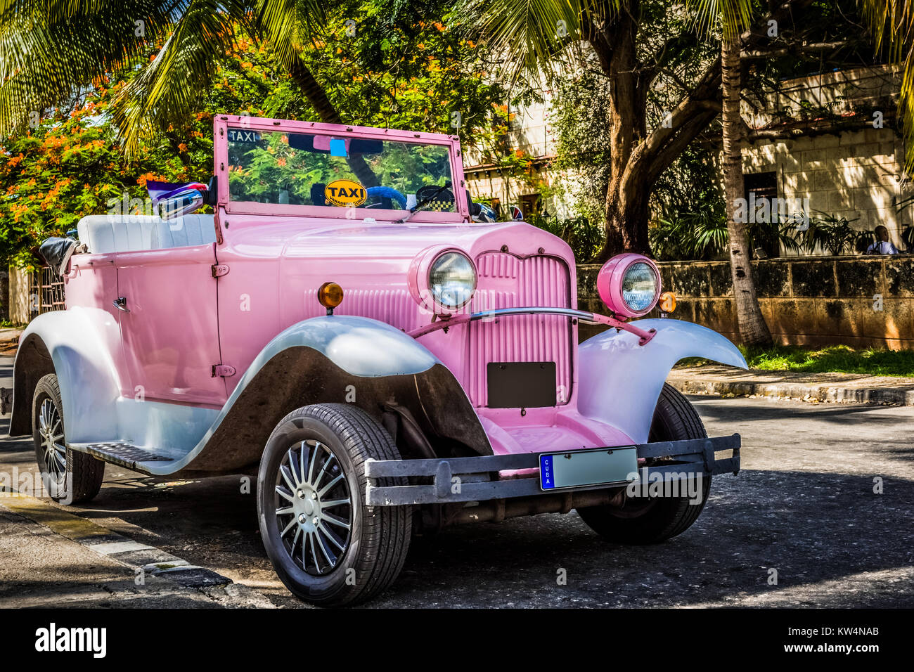 American rose Ford convertible classic car parked under palms in ...