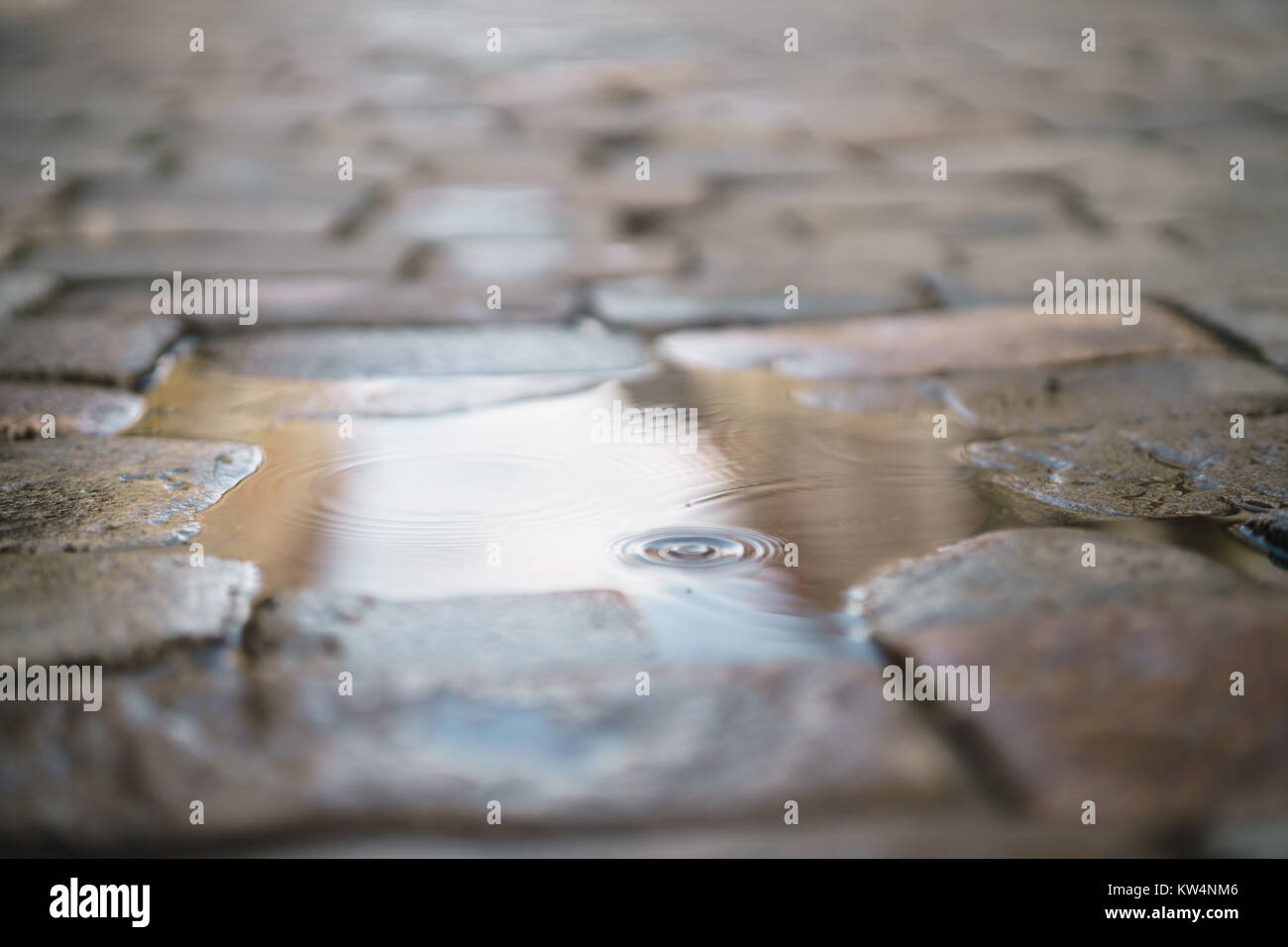puddle on old stone pavement background, high detailed Stock Photo - Alamy