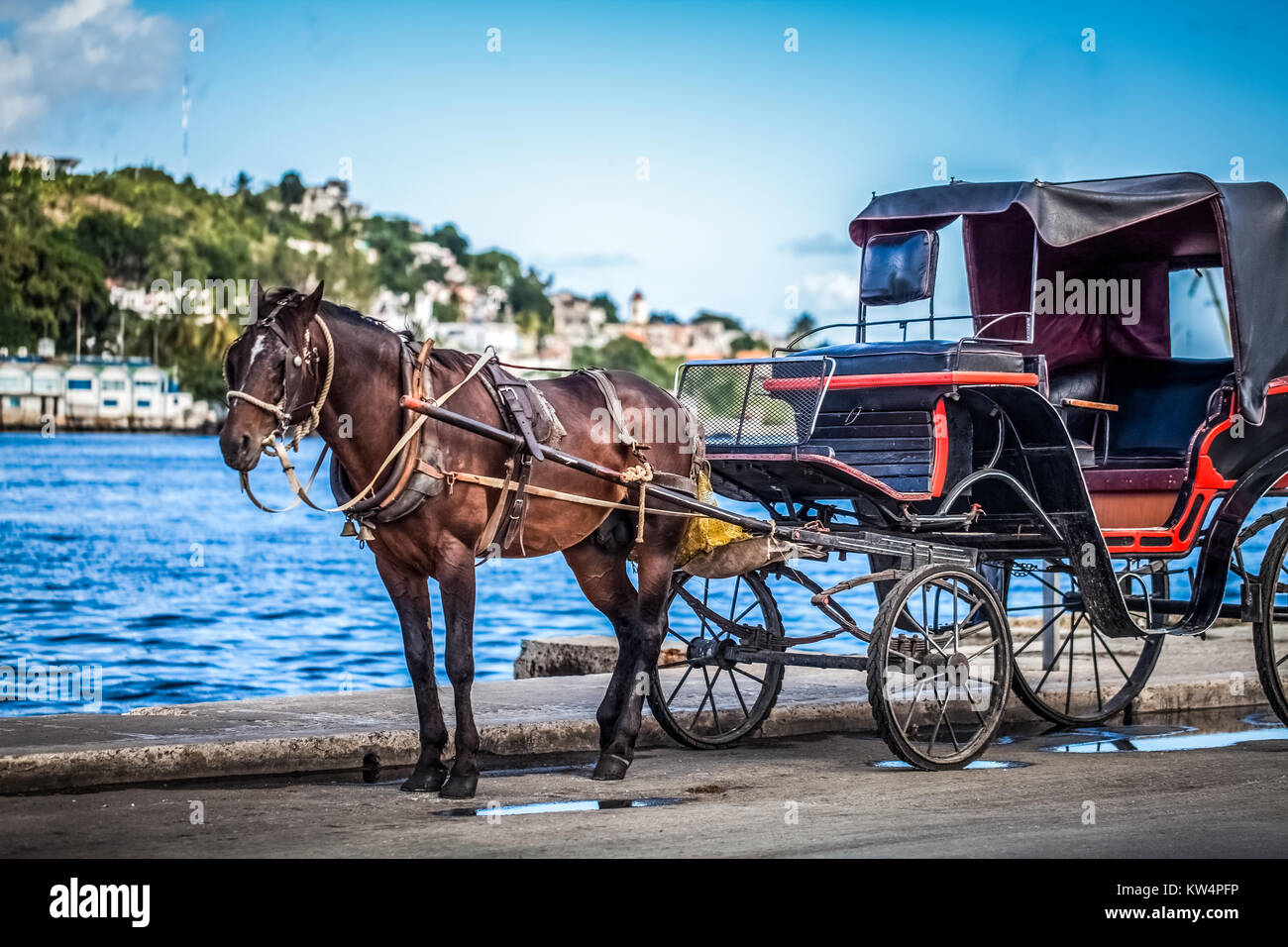 karibik Kuba Havanna Kutsche mit Pferd Stock Photo - Alamy