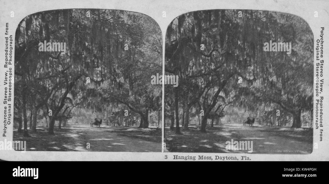 Coast florida Black and White Stock Photos & Images - Alamy