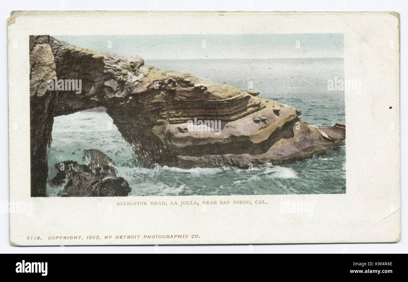 Waves splashing against alligator head natural arch formation, La Jolly ...