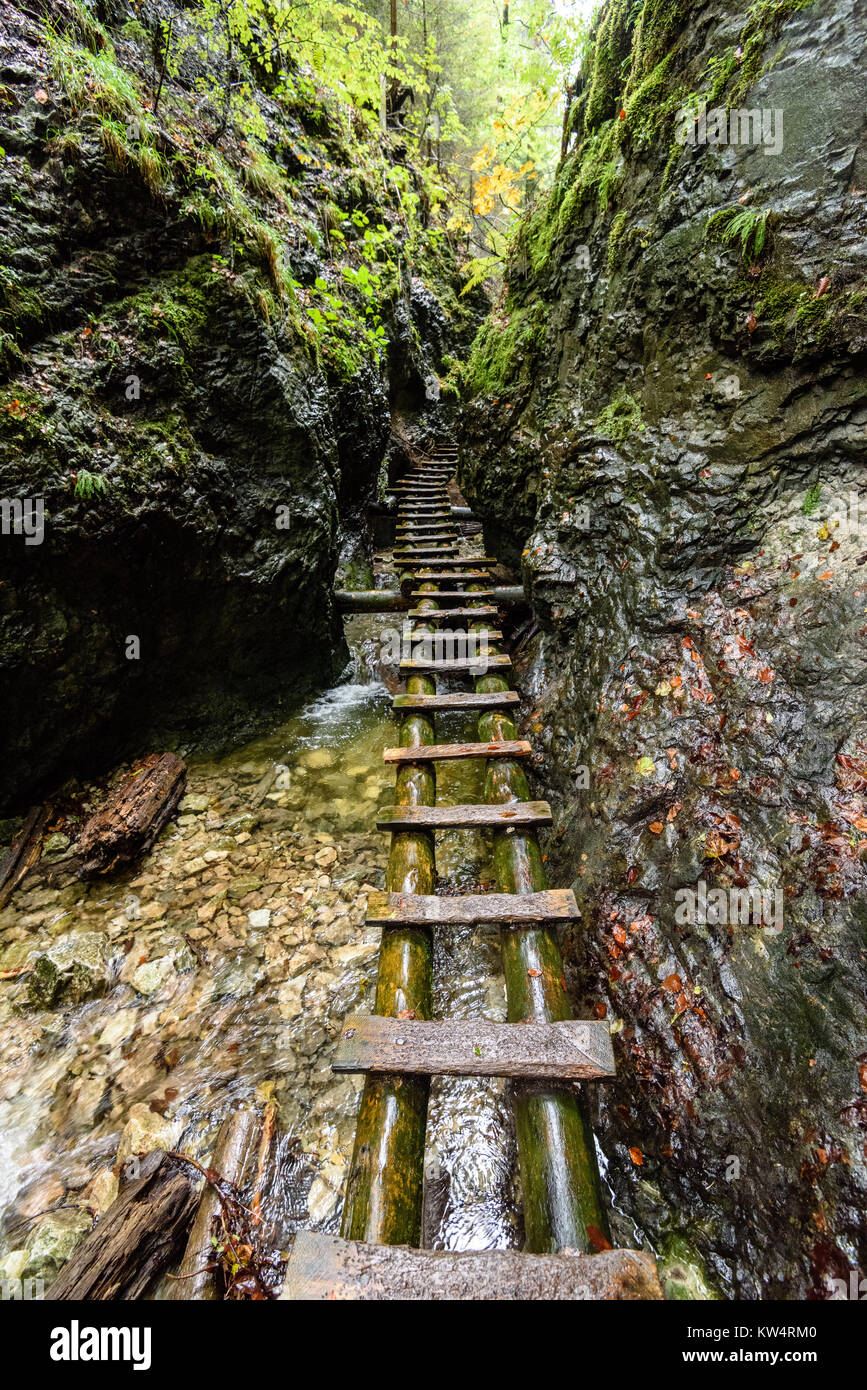 scenic and beautiful tourism trail in the park Slovensky raj, Slovakia ...
