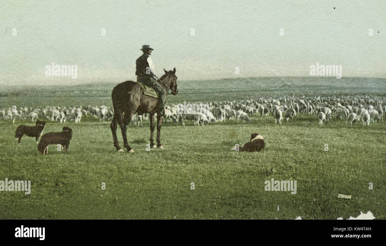 Man mounted on horse hi-res stock photography and images - Alamy