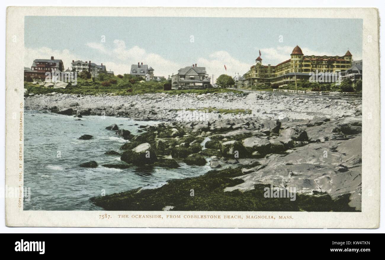 Postcard showing the buildings near to the shore from Cobblestone Beach ...