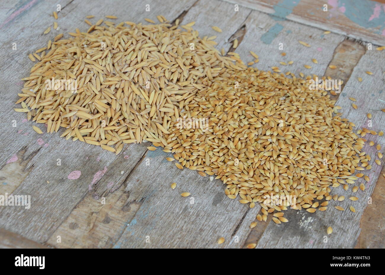paddy on old wooden table Stock Photo - Alamy