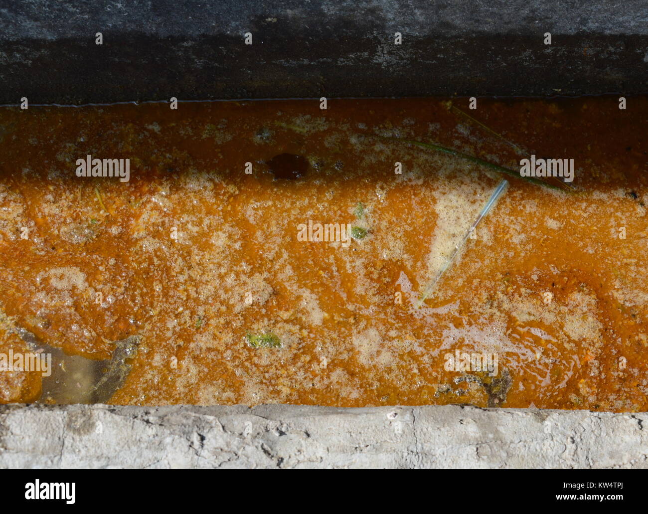 waste water in sewer hole on backyard Stock Photo - Alamy