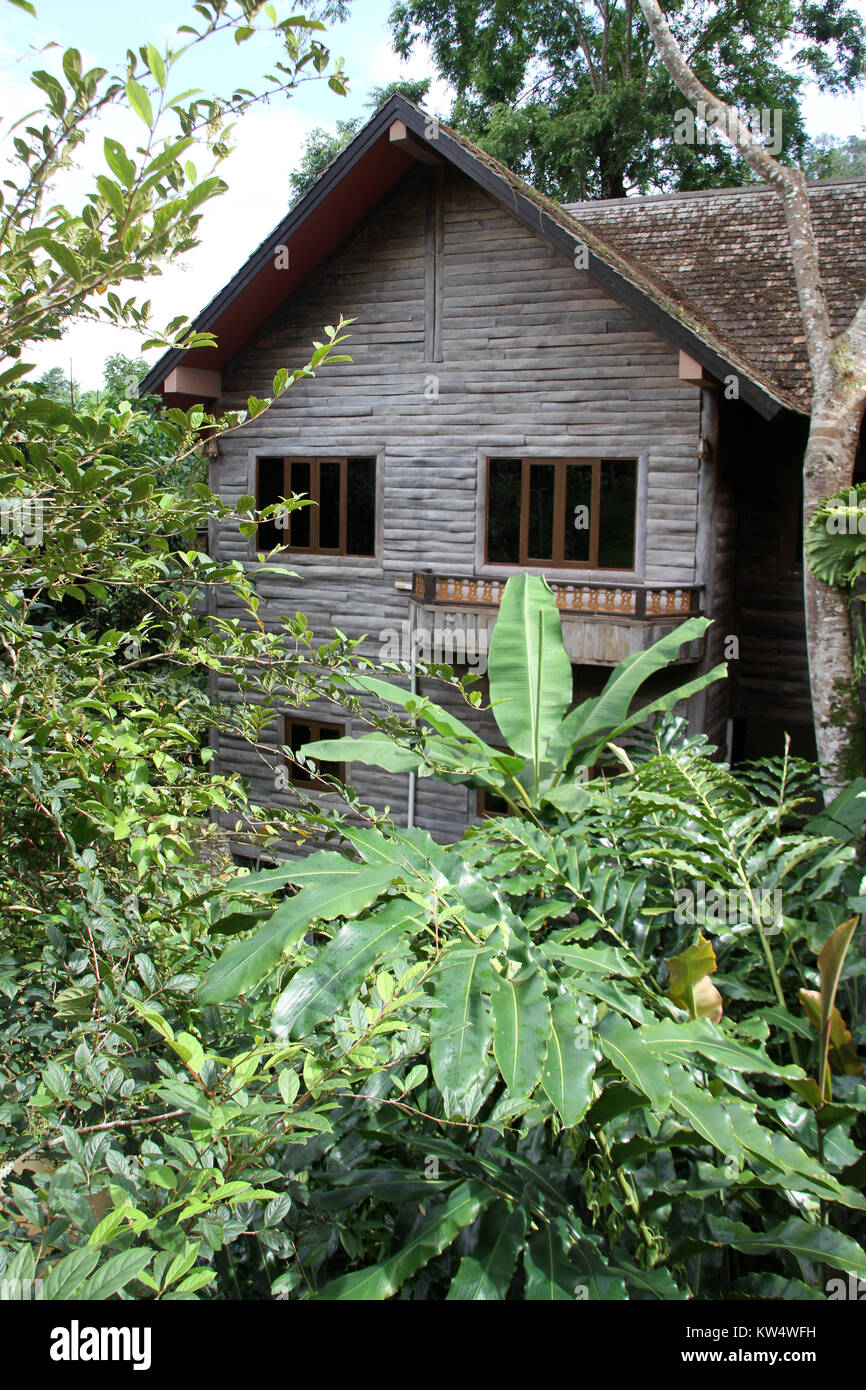 Wooden house under tree in Northern Thailand Stock Photo - Alamy
