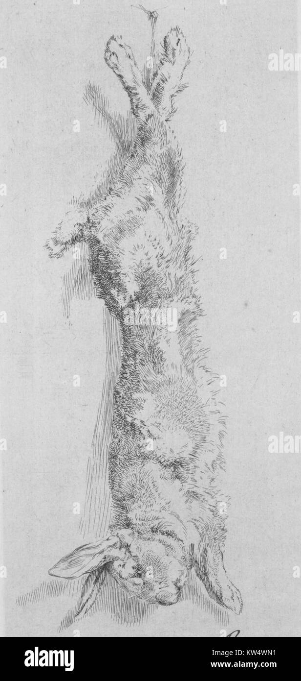 Rabbit corpse Black and White Stock Photos & Images - Alamy