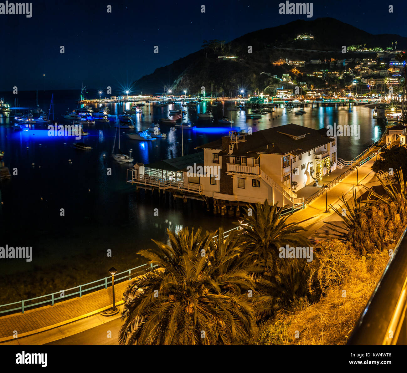 Avalon bay on Catalina Island reflecting the night lights of the ...