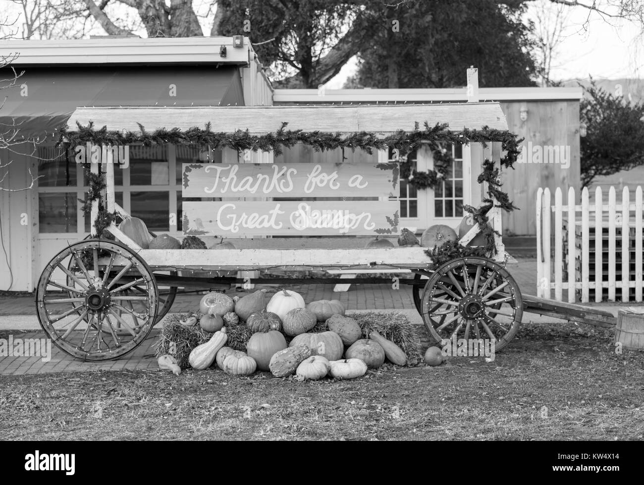 Stand by your local Black and White Stock Photos & Images - Alamy