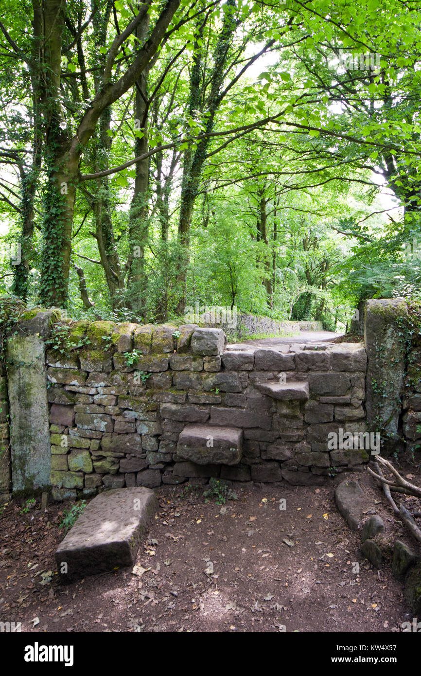 Step stile hi-res stock photography and images - Alamy
