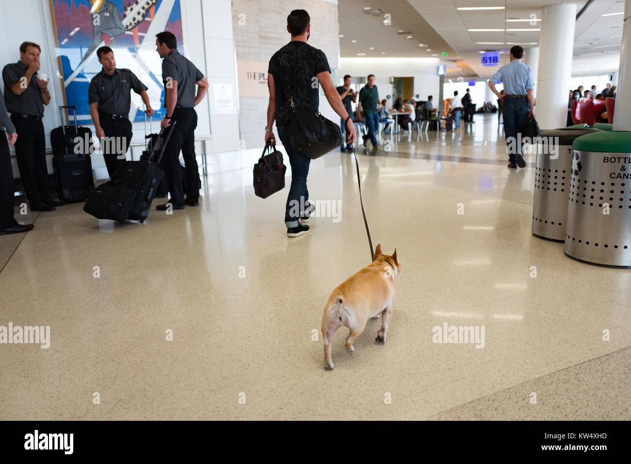 A man walks a small bulldog through Terminal 2 at San Francisco ...