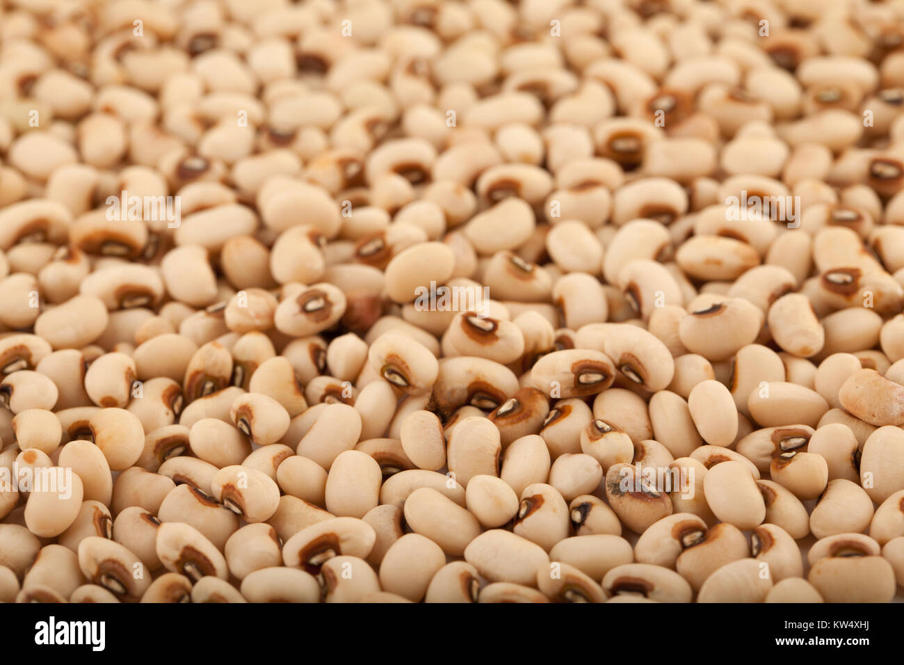 background of white kidney bean Stock Photo - Alamy